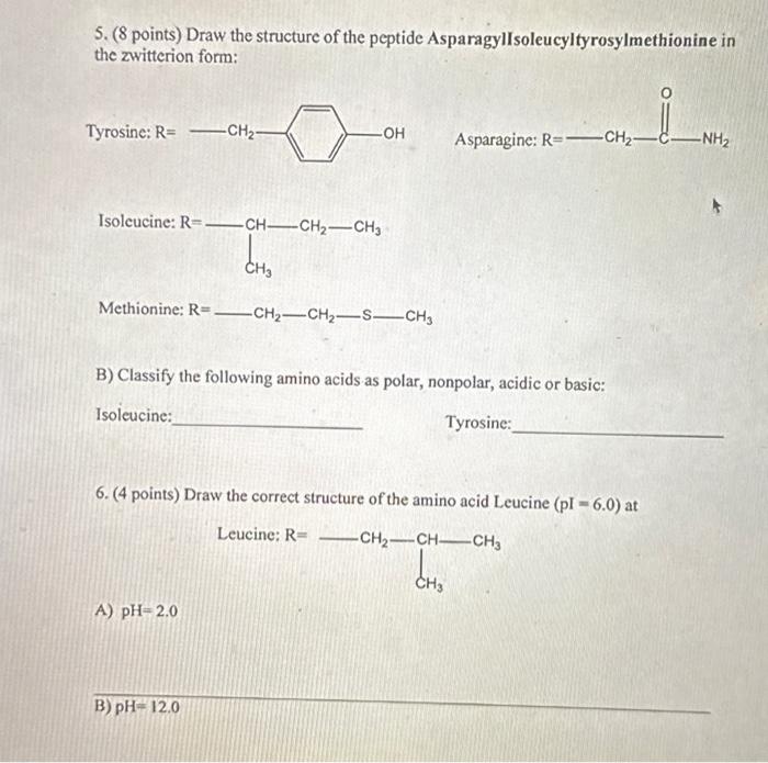 Solved 5. (8 points) Draw the structure of the peptide | Chegg.com