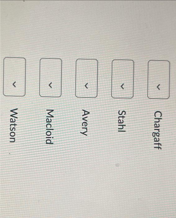 Solved please answer these two questions. notice that the | Chegg.com