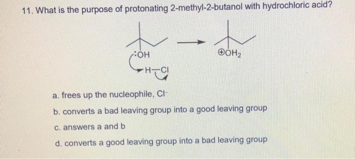 Solved 11. What is the purpose of protonating | Chegg.com
