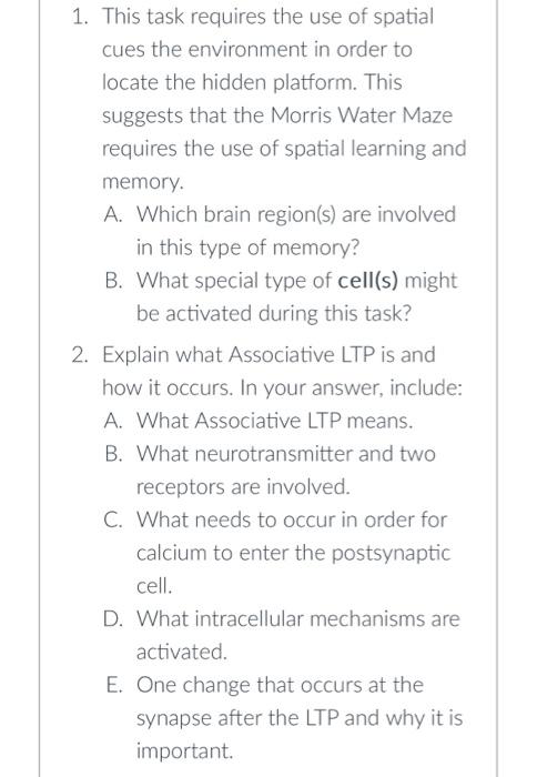 Solved Long-term Potentiation (LTP). In class, we discussed | Chegg.com