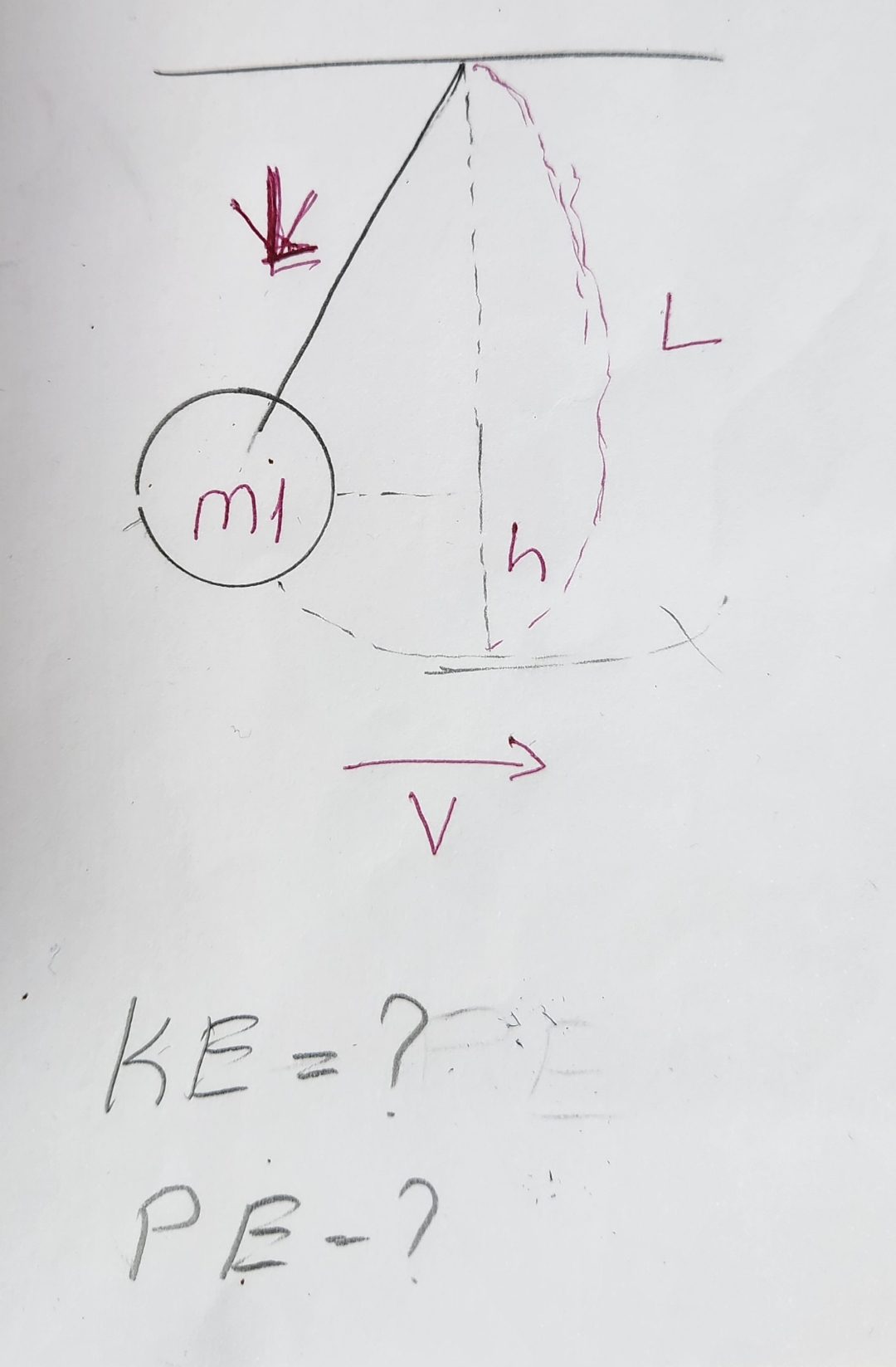Solved KE=PE=Neglect the mass of the rodKE=PE=KE=PE= | Chegg.com
