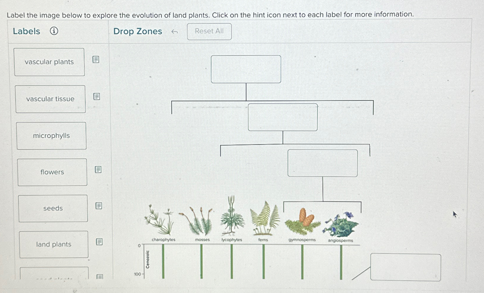Label the image below to explore the evolution of | Chegg.com