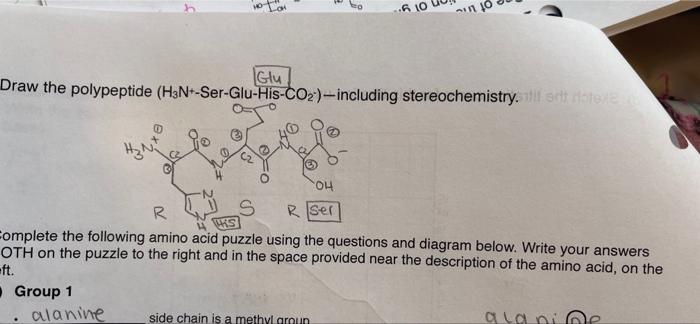 Solved no Glu Draw the polypeptide (H3N--Ser-Glu-His-CO:) - | Chegg.com