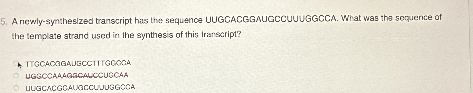 Solved A newly-synthesized transcript has the sequence | Chegg.com