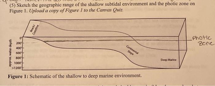 Solved (5) Sketch the geographic range of the shallow | Chegg.com