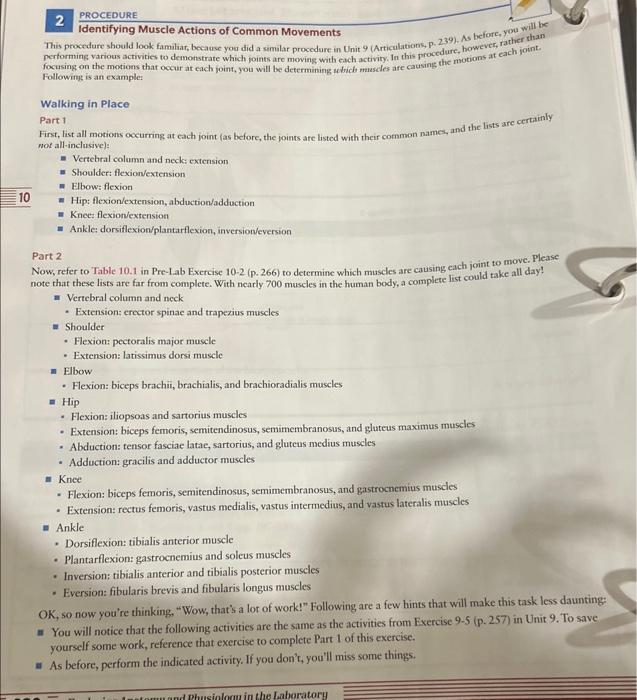 Solved 2 PROCEDURE Identifying Muscle Actions of Common | Chegg.com