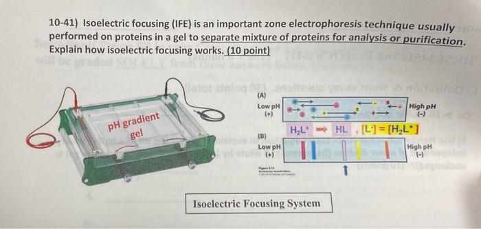 Solved 10-41) Isoelectric focusing (IFE) is an important | Chegg.com