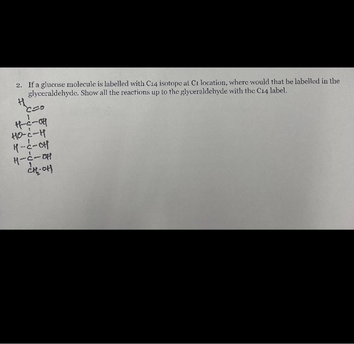 Solved 2. If a glucose molecule is labelled with C14 isotope | Chegg.com