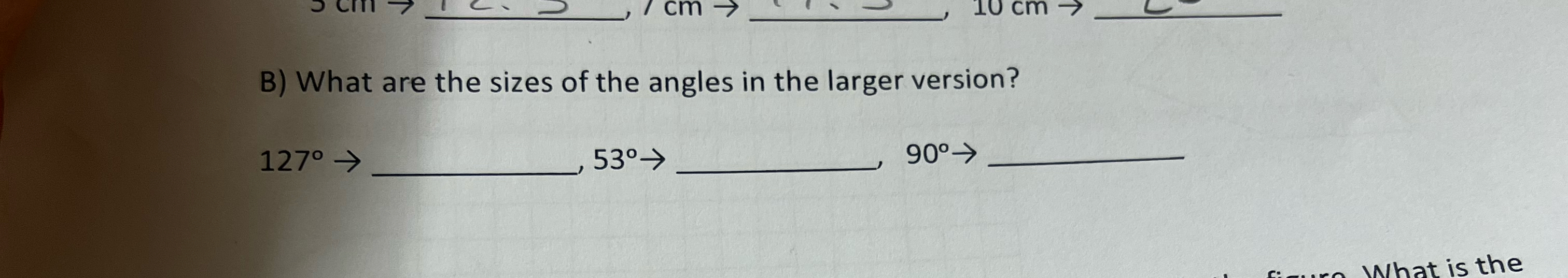 Solved B) ﻿What are the sizes of the angles in the larger | Chegg.com