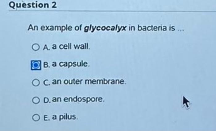 Solved Some bacteria form endospores in response to ... A. | Chegg.com