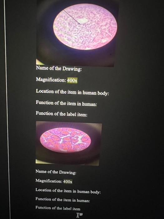 Histology drawings list andName of the Drawing: | Chegg.com