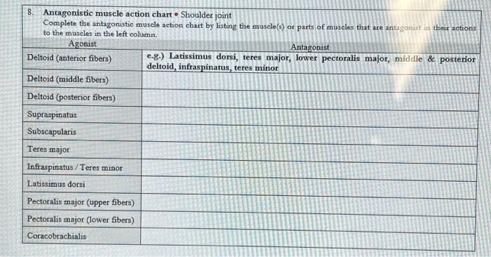 Solved 8. Antagonistic muscle action chart - Shoulder joint | Chegg.com