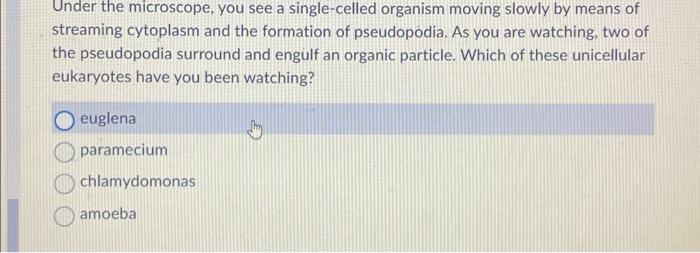 Solved Under the microscope, you see a single-celled | Chegg.com