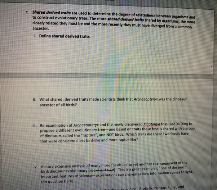 Solved c. Shared derived traits are used to determine the | Chegg.com