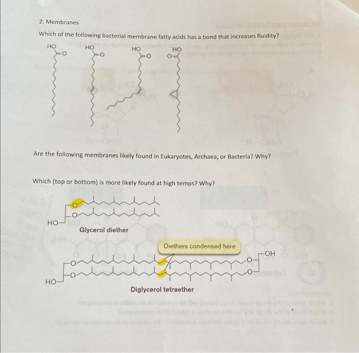 Solved 2. Membranes Which of the following bacterial | Chegg.com