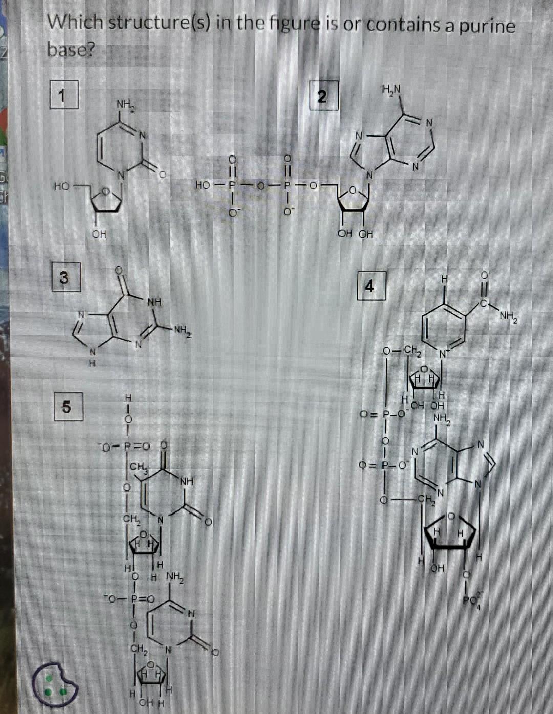 Solved Which structure(s) in the figure is or contains a | Chegg.com