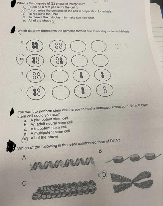 Solved please provide explanation for this one question with | Chegg.com