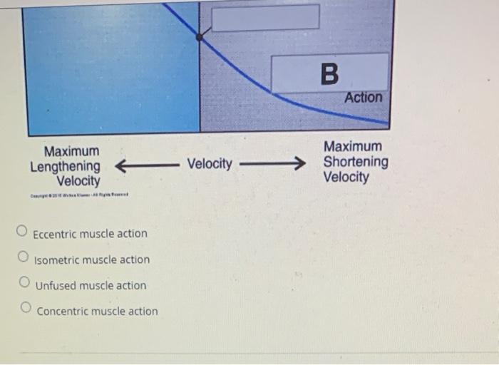 Solved During the up phase of a sit up exercise, the rectus | Chegg.com