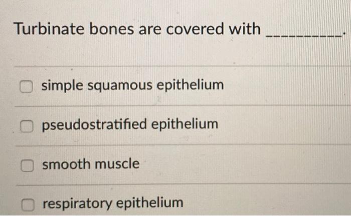 Solved Turbinate bones are covered with simple squamous | Chegg.com