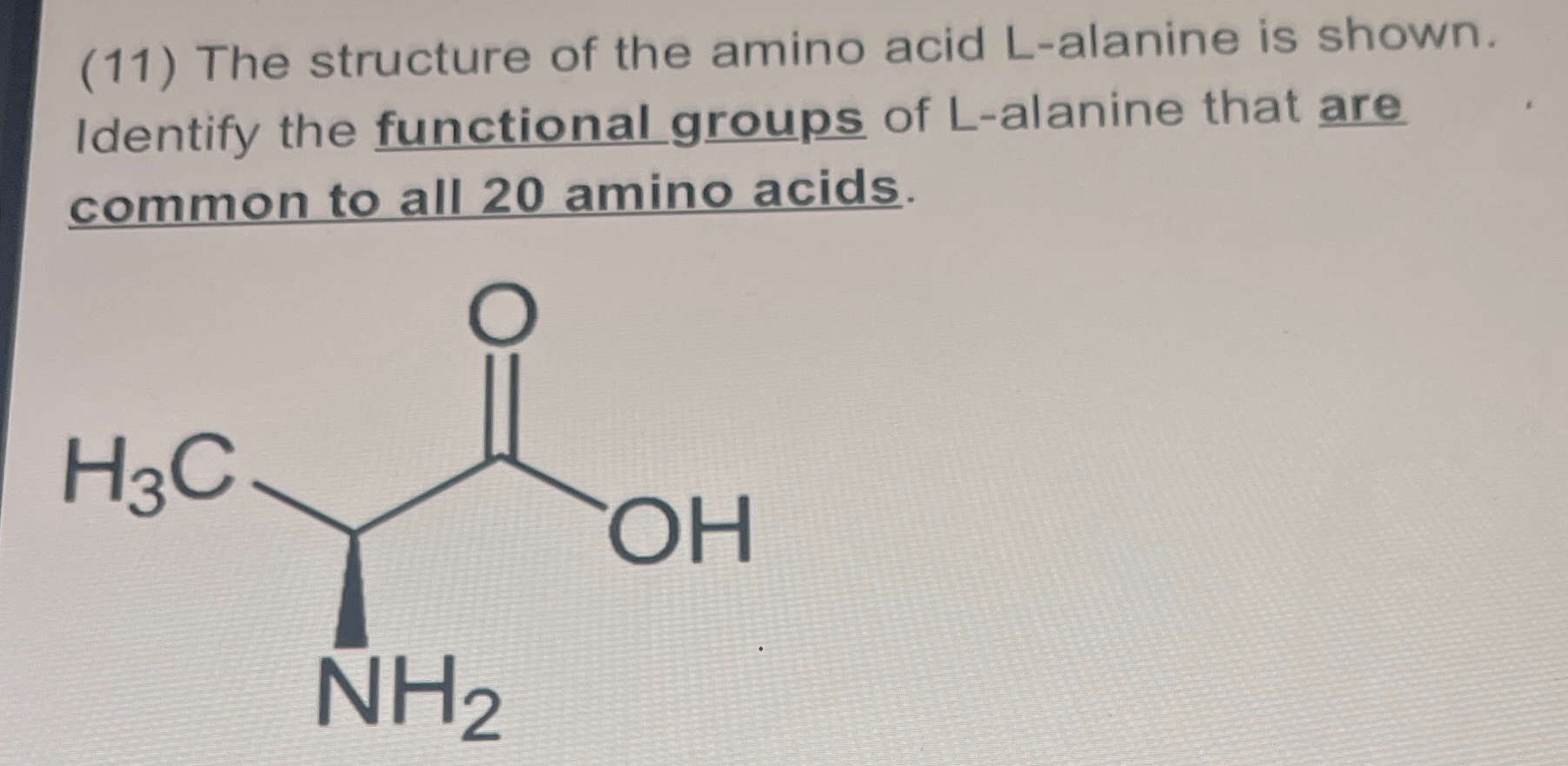 Solved (11) ﻿The structure of the amino acid L-alanine is | Chegg.com