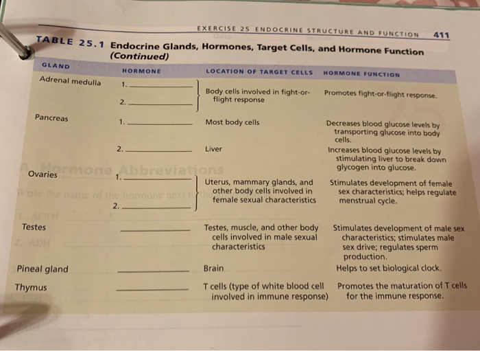Solved EXERCISE 25 ENDOCRINE STRUC URE AND FUNCTION 405 | Chegg.com