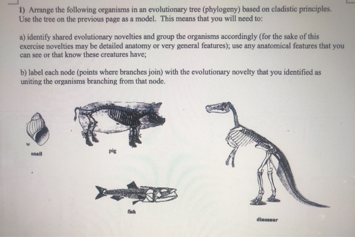 Solved 1) Arrange the following organisms in an evolutionary | Chegg.com
