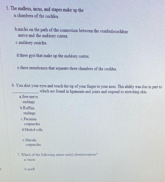 Solved 5. The malleus, incus, and stapes make up the a | Chegg.com