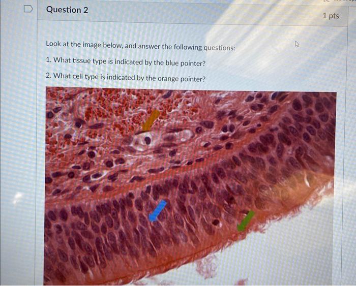 Solved Look at the image below, and answer the following | Chegg.com