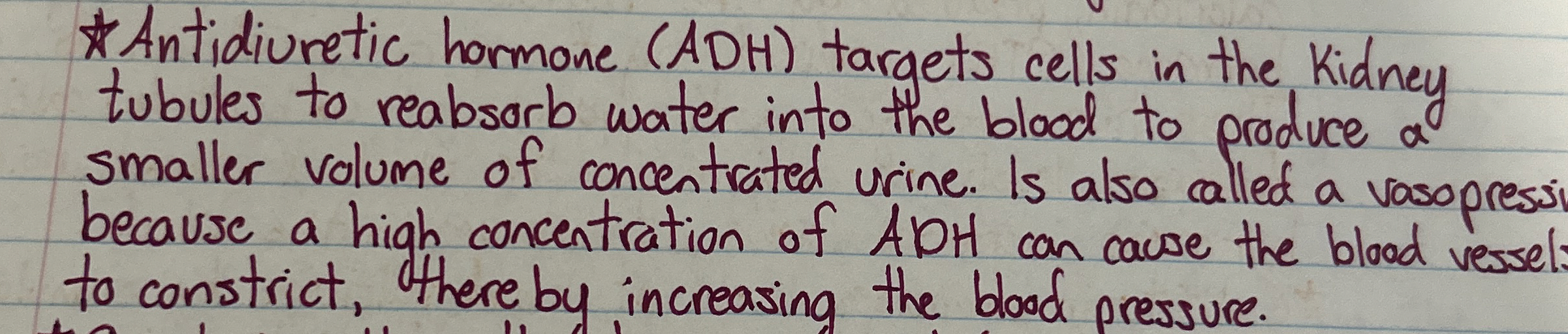 Solved Antidiuretic hormone (ADH) ﻿targets cells in the | Chegg.com