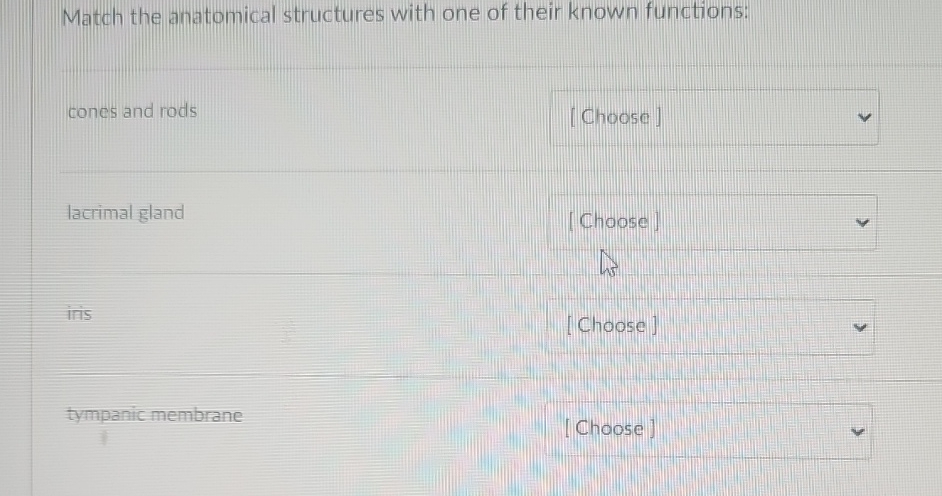 Solved Match the anatomical structures with one of their | Chegg.com