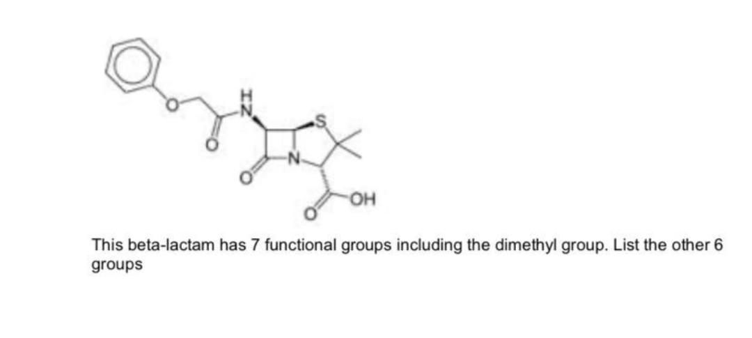 Solved OH This beta-lactam has 7 functional groups including | Chegg.com