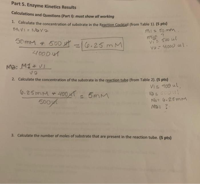 Solved Part 5. Enzyme Kinetics Results Calculations and | Chegg.com