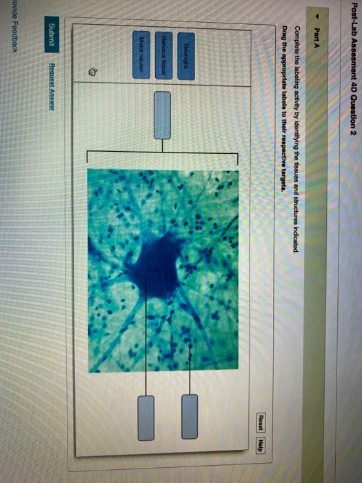 Solved Post-Lab Assesment 4D Question 2 Part A Complete the | Chegg.com