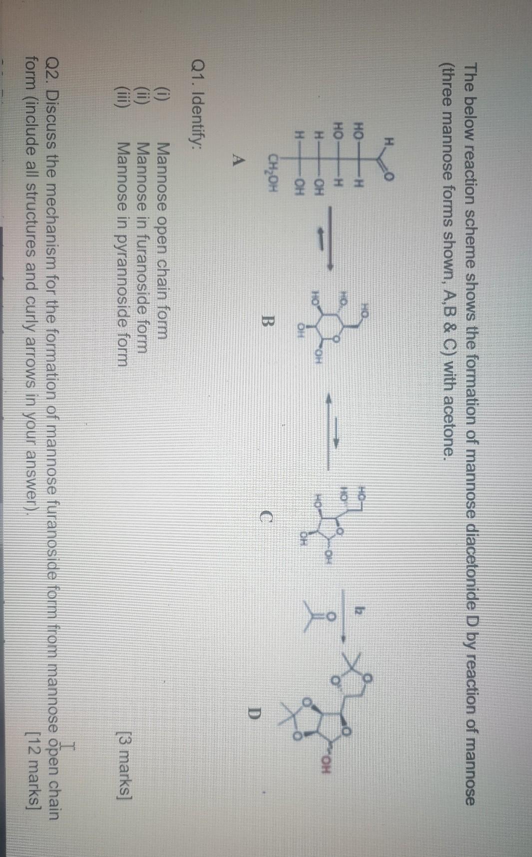 Solved The below reaction scheme shows the formation of | Chegg.com
