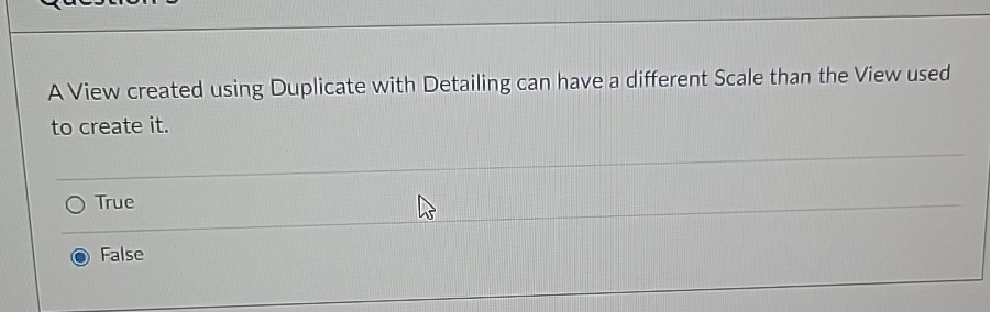Solved A View created using Duplicate with Detailing can | Chegg.com