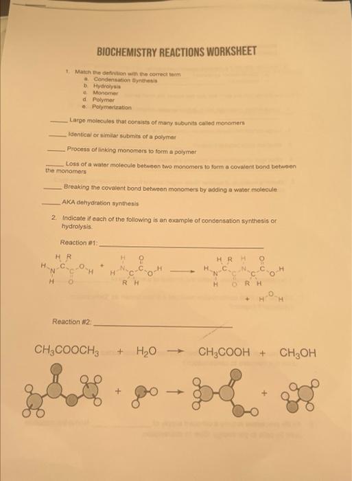 Solved BIOCHEMISTRY REACTIONS WORKSHEET Maten the defrution | Chegg.com