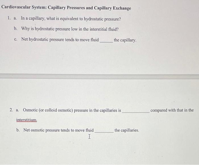 Solved Cardiovascular System: Regulation of Cardiac Output | Chegg.com