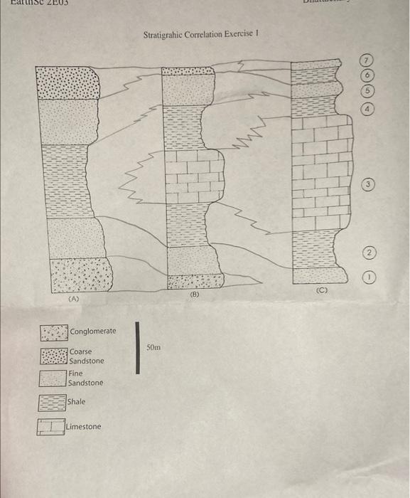Solved You have three stratigraphic columns, which contain a | Chegg.com