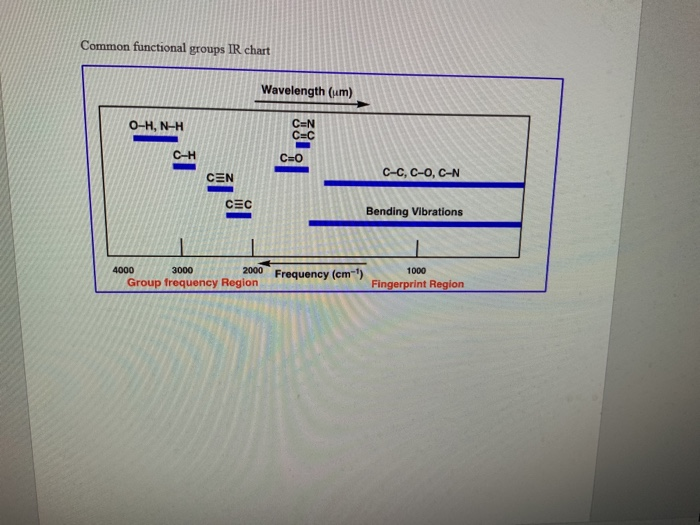 Solved 3) Label the major functional groups in the IR | Chegg.com