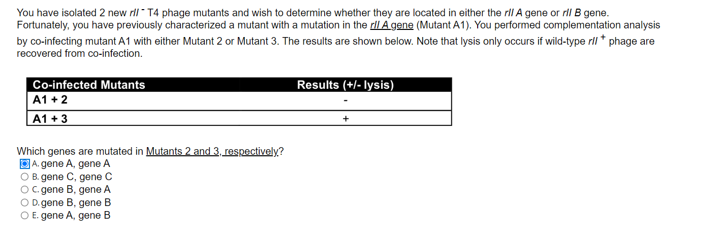 Solved You have isolated 2 ﻿new rI-T4 ﻿phage mutants and | Chegg.com