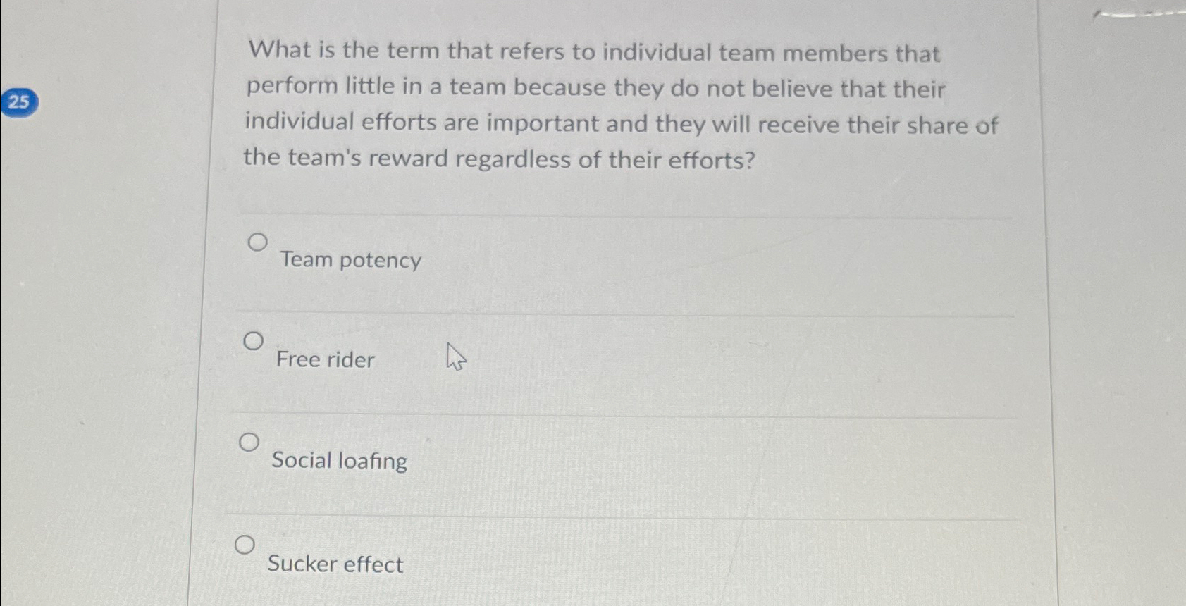 Solved What is the term that refers to individual team | Chegg.com