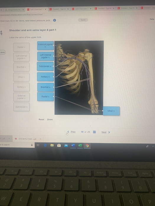 Solved connect.meducation.comflow connect Bercises 22 34 | Chegg.com