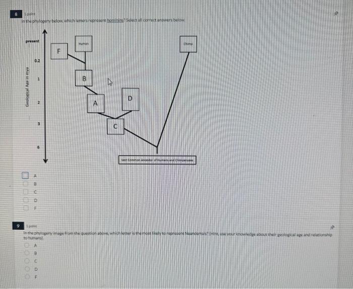 8 1 point In the phylogeny below, which letters | Chegg.com