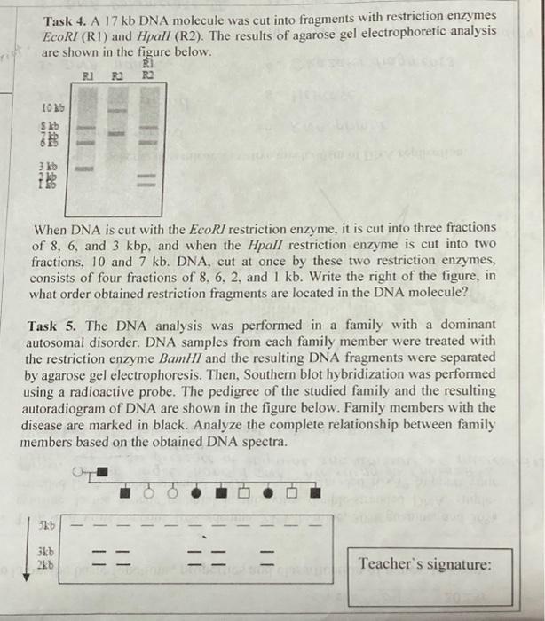 Solved Course of hands-on training Work task 1. Solve the | Chegg.com