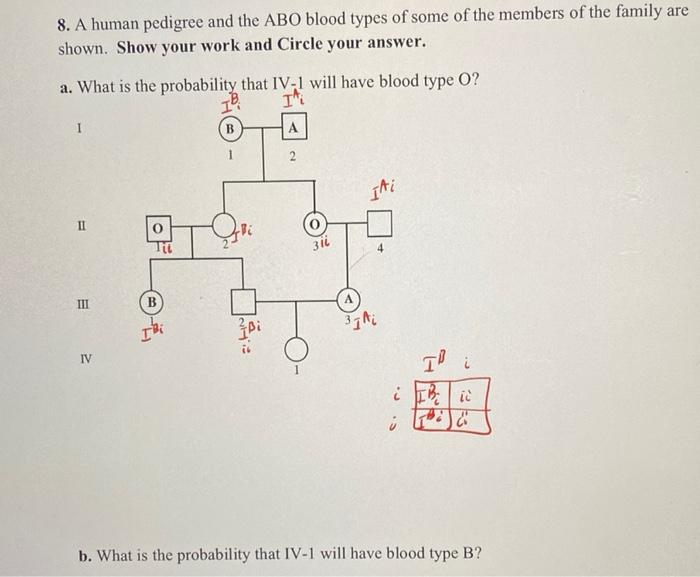 Solved 8. A human pedigree and the ABO blood types of some | Chegg.com