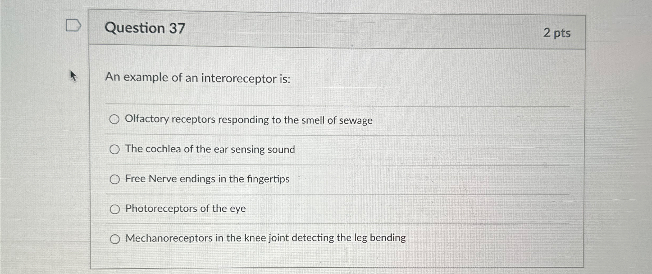 Solved Question 372 ﻿ptsAn example of an interoreceptor | Chegg.com