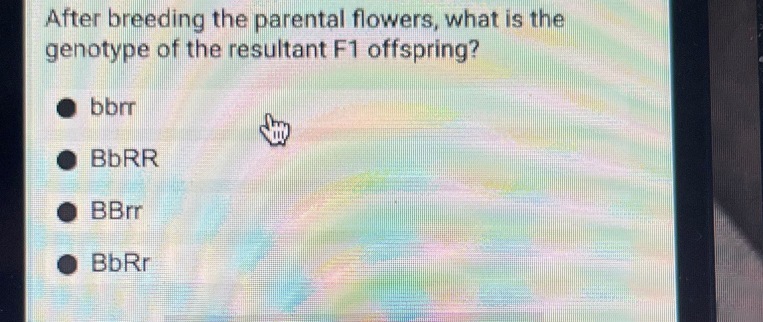 Solved After breeding the parental flowers, what is the | Chegg.com