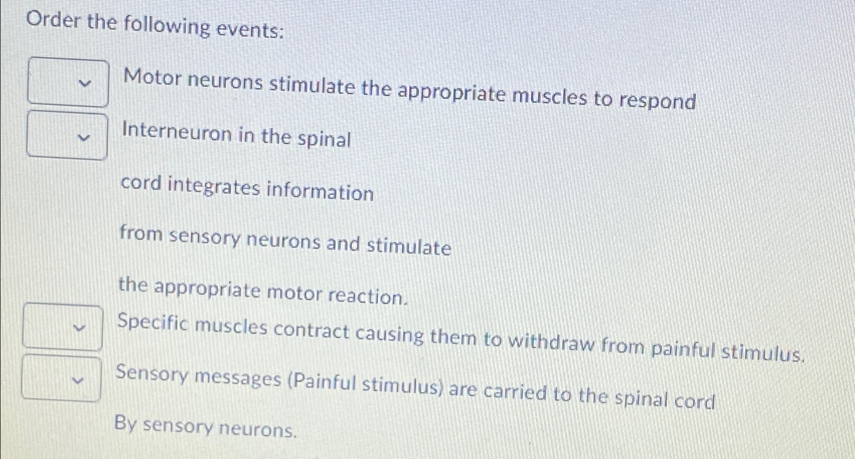 Solved Order the following events:Motor neurons stimulate | Chegg.com