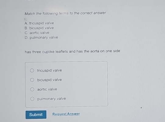 Solved Match the following terms to the correct answer:A. | Chegg.com