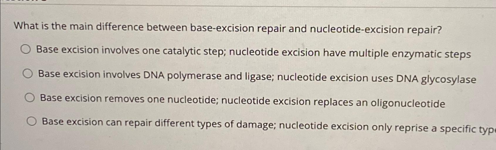 Solved What is the main difference between base-excision | Chegg.com Solved What is the main difference between base-excision | Chegg.com